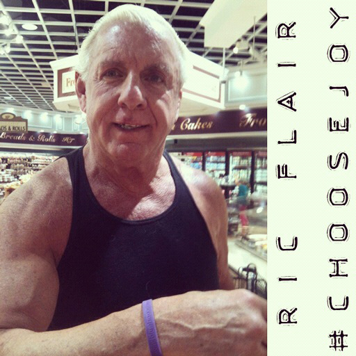 ric flair Archives - Ashley Hackshaw / Lil Blue Boo ric flair Archives - Ashley Hackshaw / Lil Blue Boo