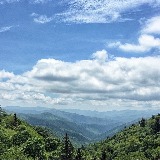 Things to Do in Bryson City and Great Smoky Mountains